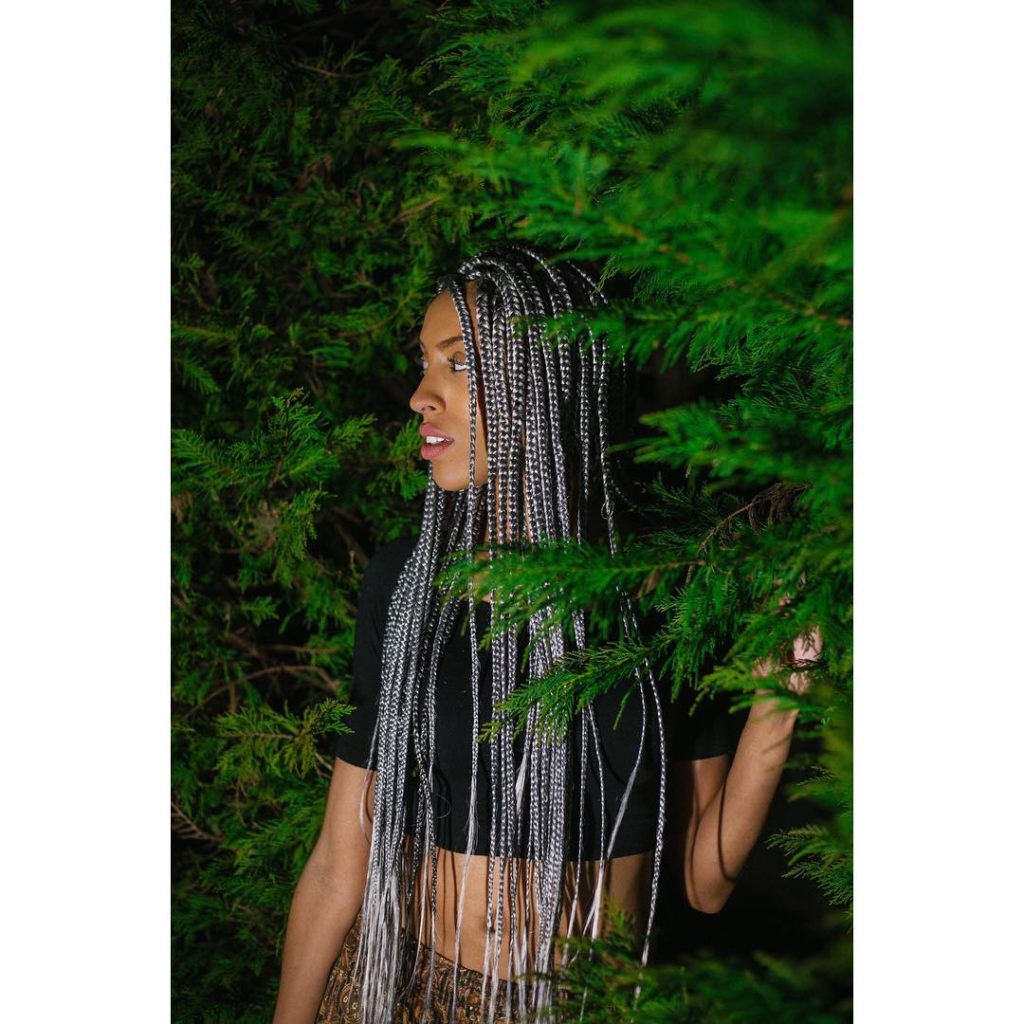 Top 10 box braids style to try in the new year 2020